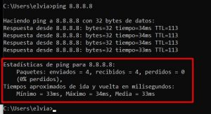 ¿Cómo hacer ping a una dirección IP o a un nombre de dominio?